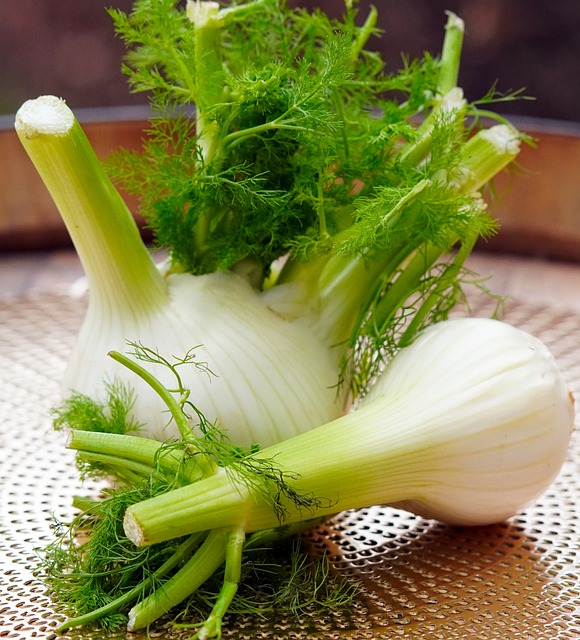 Fennel – an herb or a vegetable? – Culinary Journeys, LLC